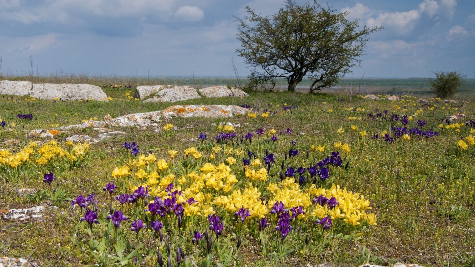 Discover Dobrudja | Discover Danube Delta