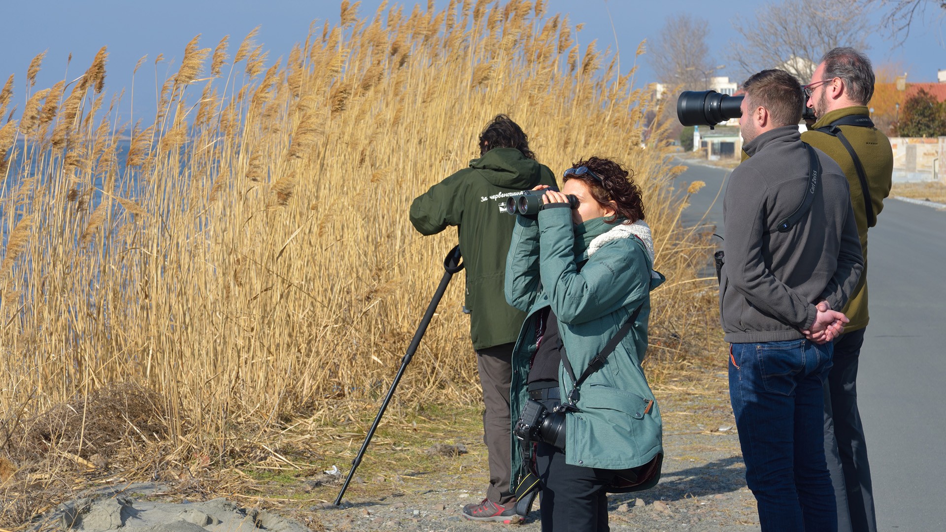 Birdwatching Tours | Discover Danube Delta