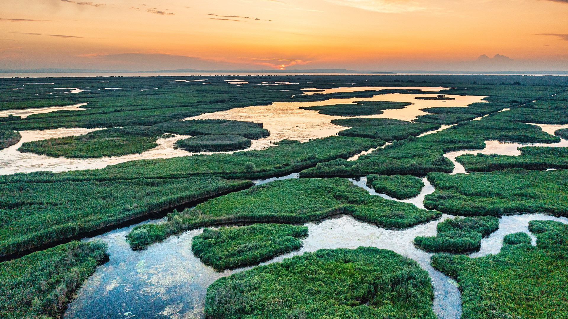 Discover Tours | Discover Danube Delta