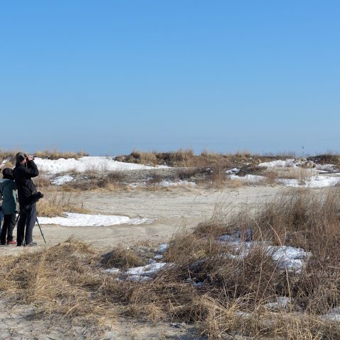 tlfn | Discover Danube Delta